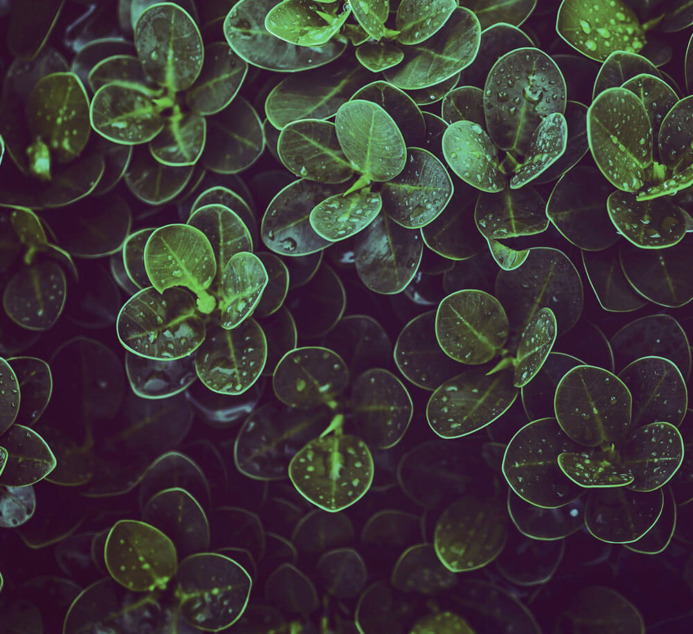 LightBox | Datta able Dashboard Template